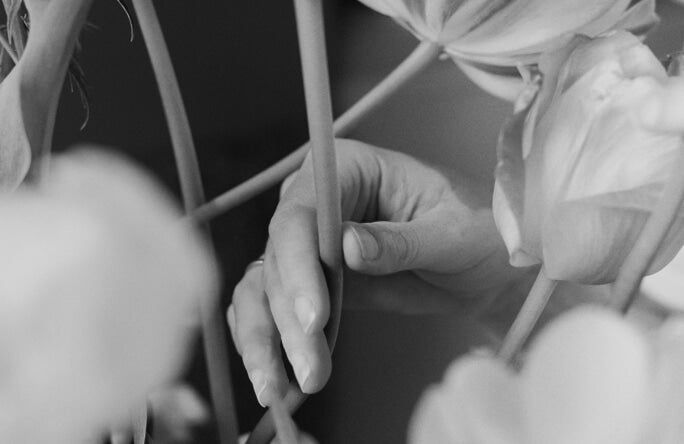 Sage Green Collection, Limited Edition | Monos Luggage Australia ...